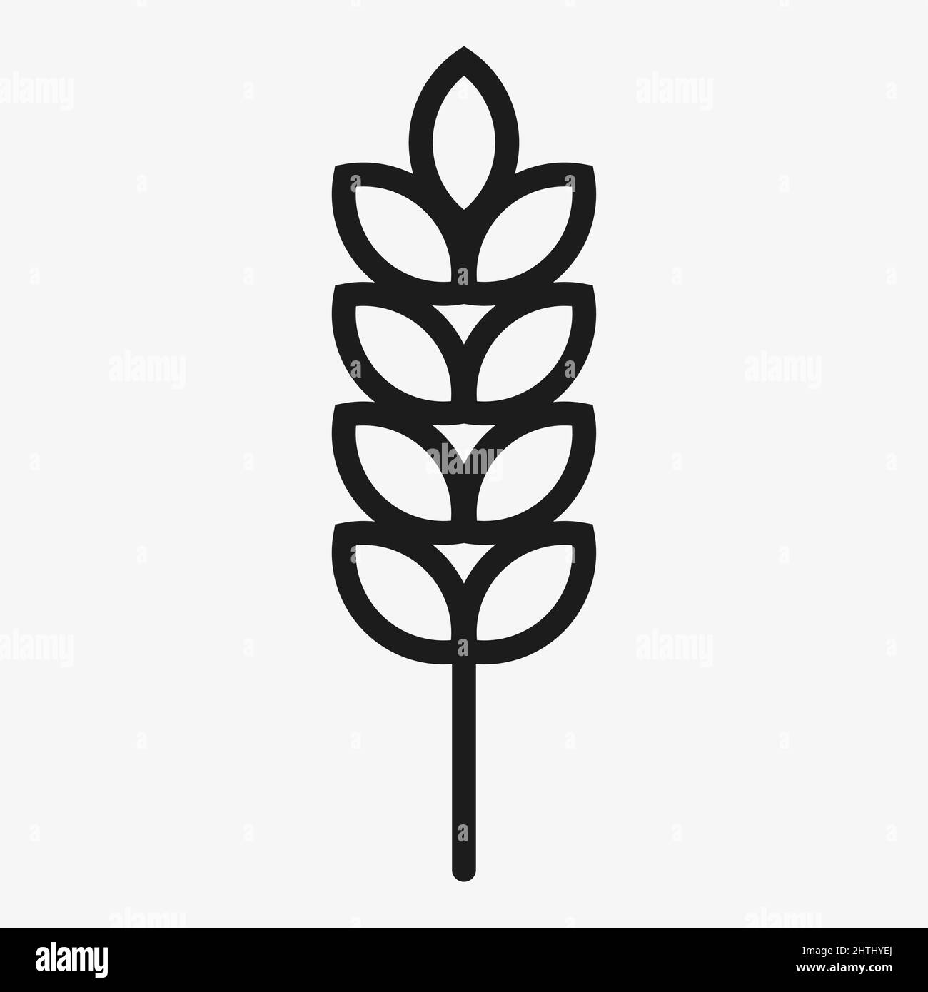 Barley vector icon isolated on white background Stock Vector Image ...