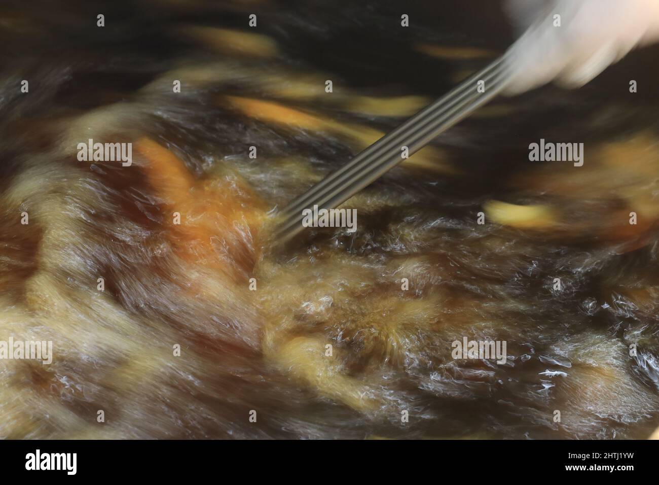The frier freshly fries chips, at Compo's fish and chip restaurant and ...