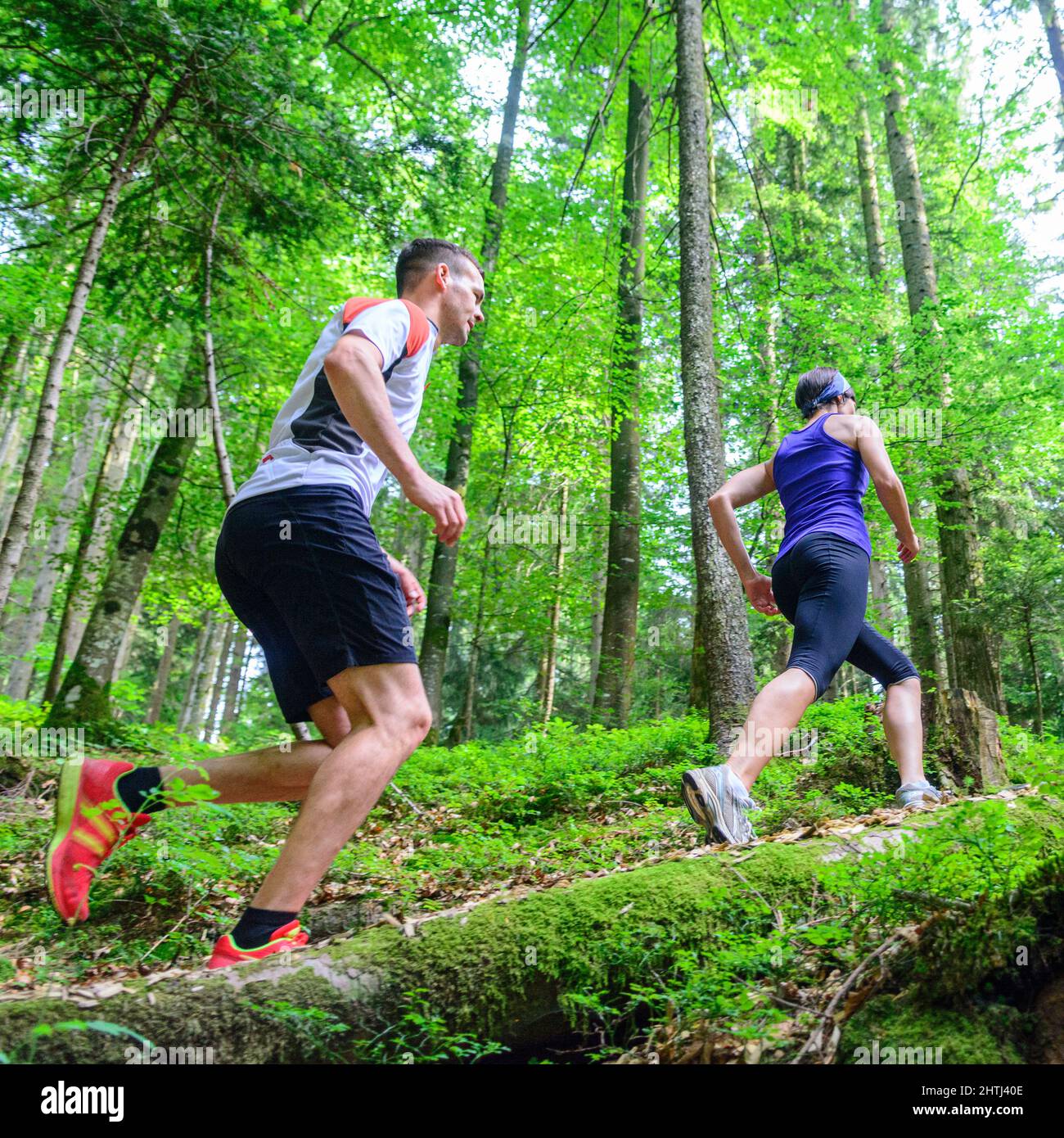 Young couple jogging in forest - strenuous workout in summertime Stock ...
