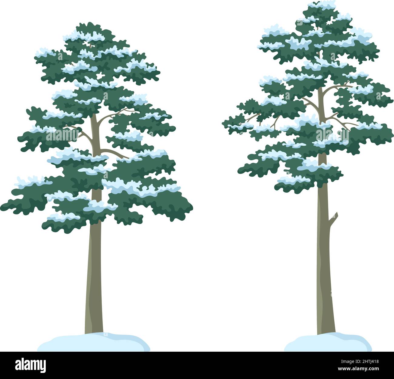 Snow on evergreen tree forest Stock Vector Images - Alamy