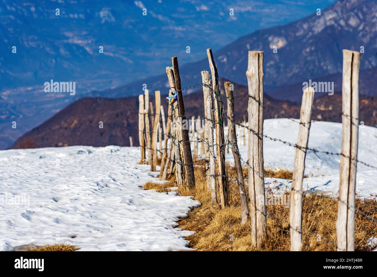 Fence made of barbed wire and wooden posts for grazing and agriculture ...