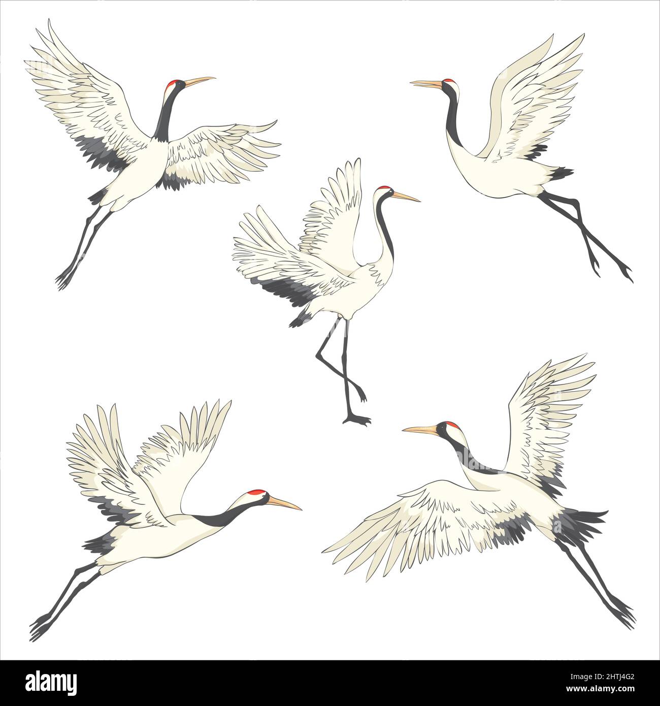 Japan bird art collection Stock Vector Images - Alamy