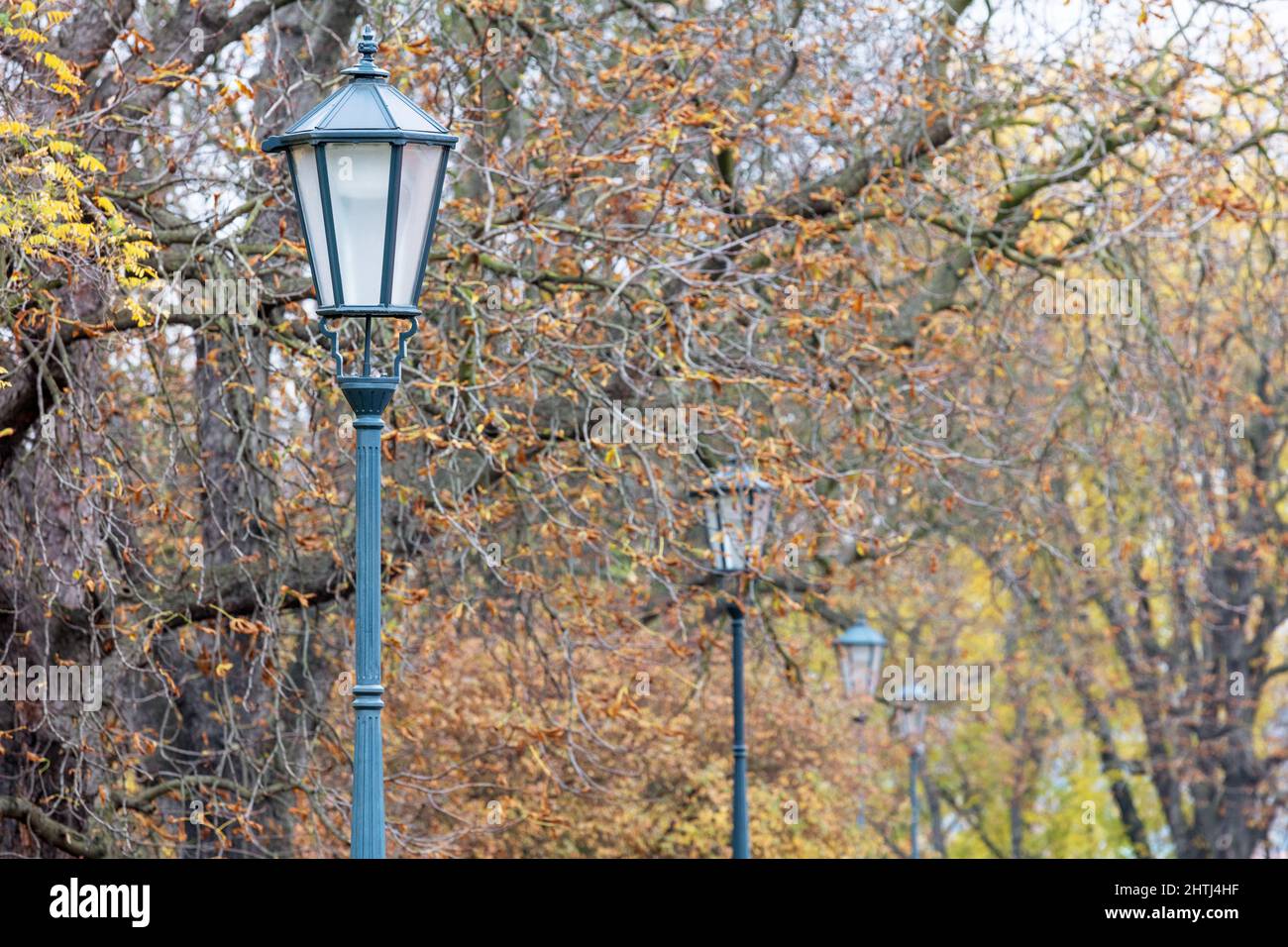 Beautiful park in autumn, with old street lamps Stock Photo - Alamy