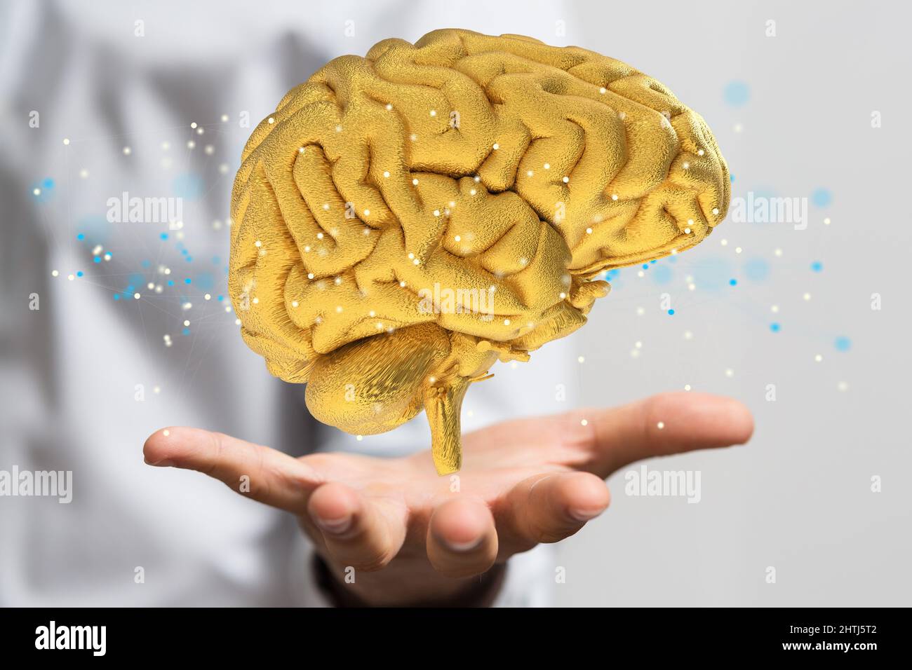 3d rendering of a human brain floating in the palm of a man Stock Photo ...