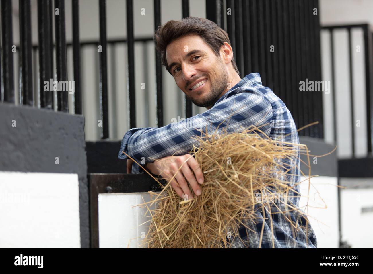 man in working clothes feeding horse with hay at stable Stock Photo - Alamy