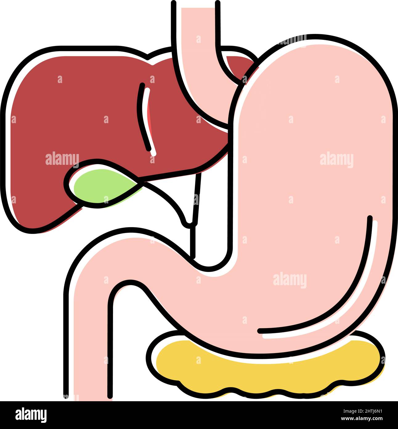 gastrointestinal tract color icon vector illustration Stock Vector ...