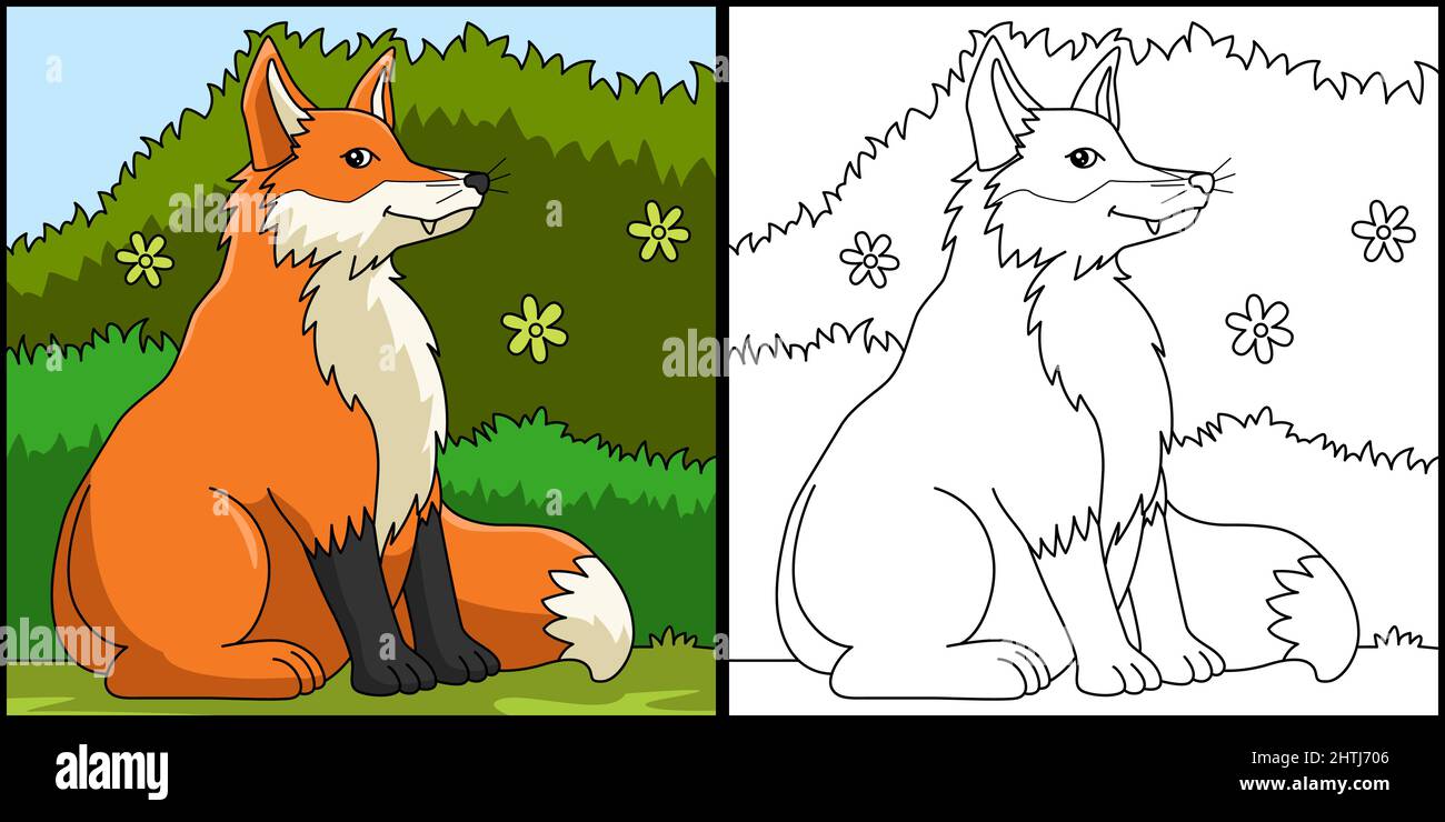 Fox Coloring Page Colored Illustration Stock Vector Image & Art - Alamy