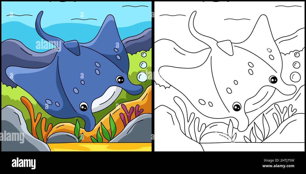 Manta Ray Coloring Page Colored Illustration Stock Vector Image & Art ...