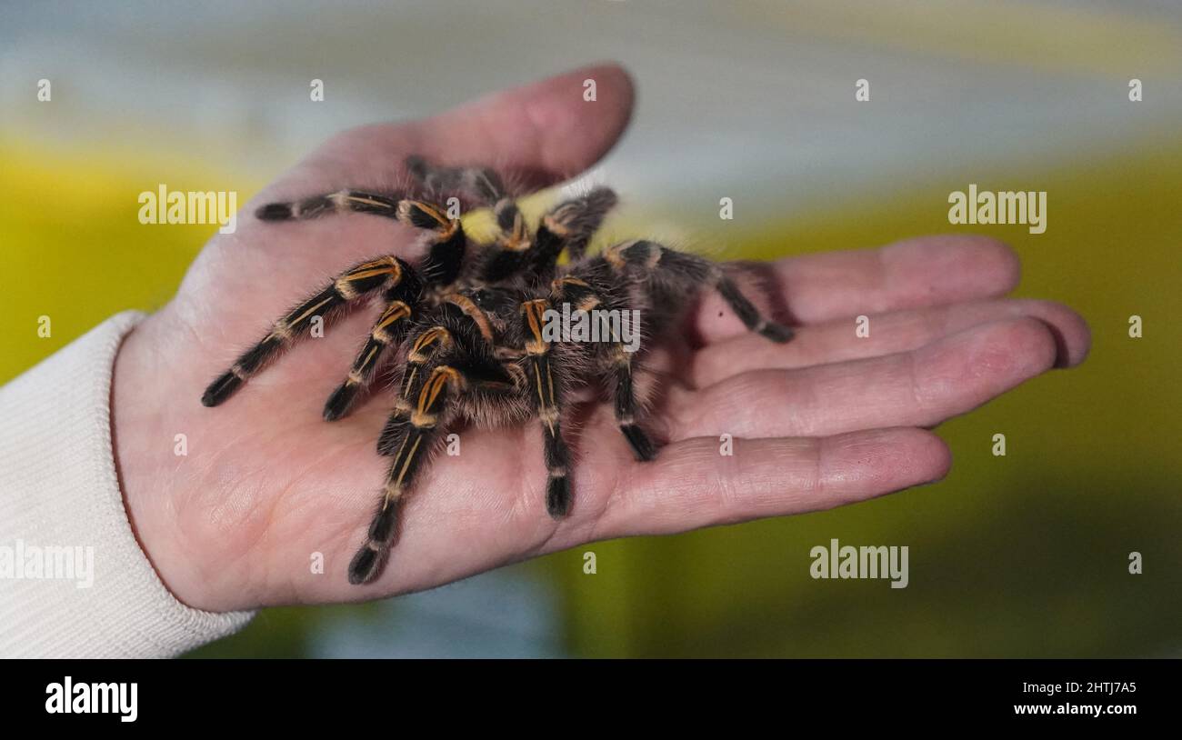Previously unissued photo of Dr John Dunbar of the Venom Lab at ...