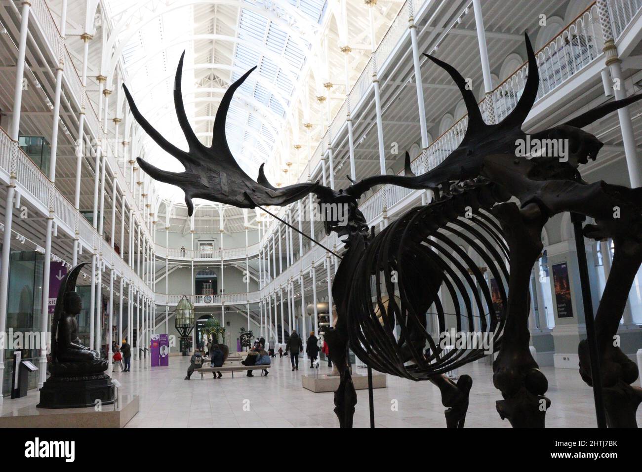 Scottish nation gallery hi-res stock photography and images - Alamy