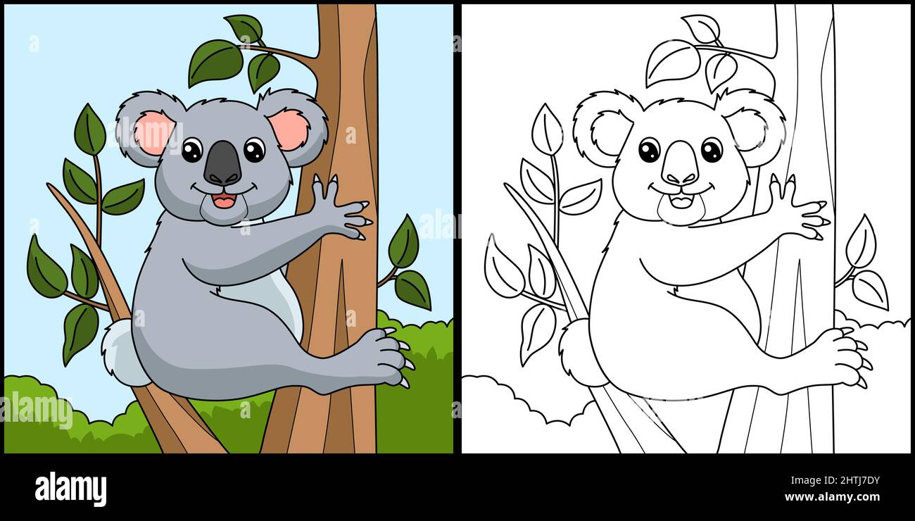 Koala Coloring Page Colored Illustration Stock Vector Image & Art - Alamy