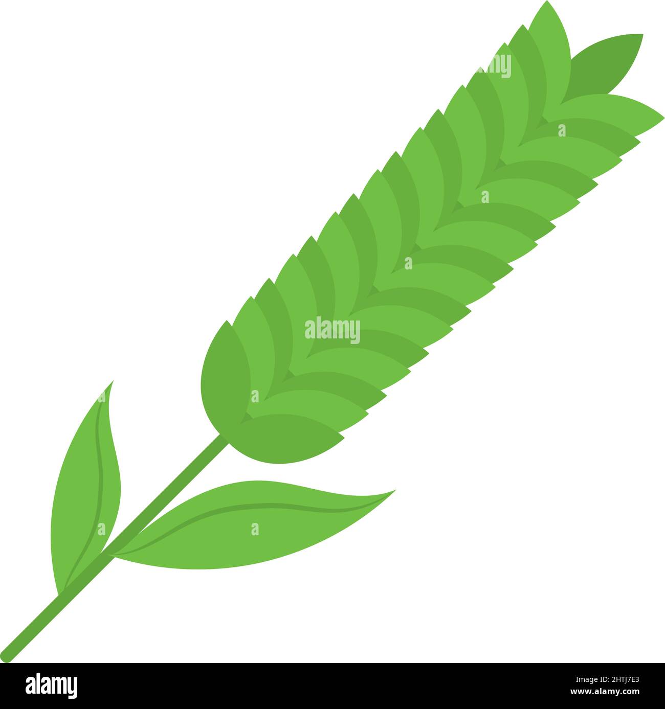 green spike icon Stock Vector Image & Art - Alamy