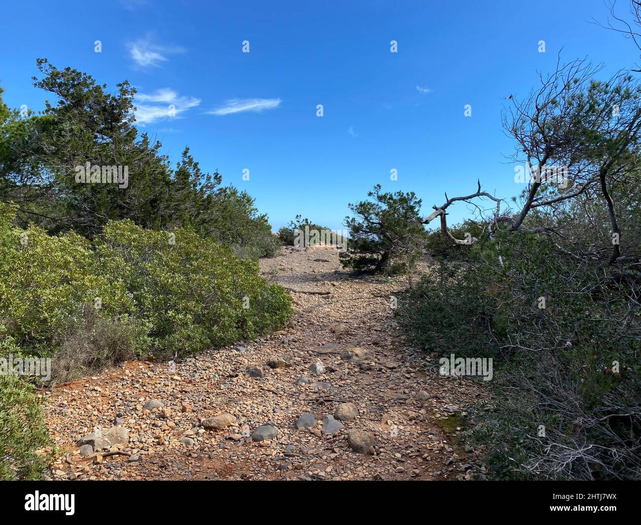 Walking path in nature Stock Photo - Alamy