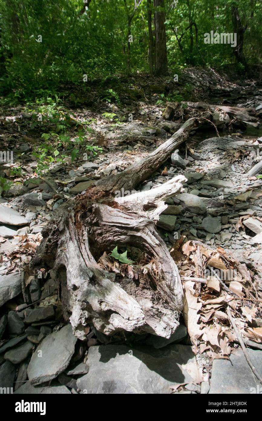 Natural nature landscape hi-res stock photography and images - Alamy