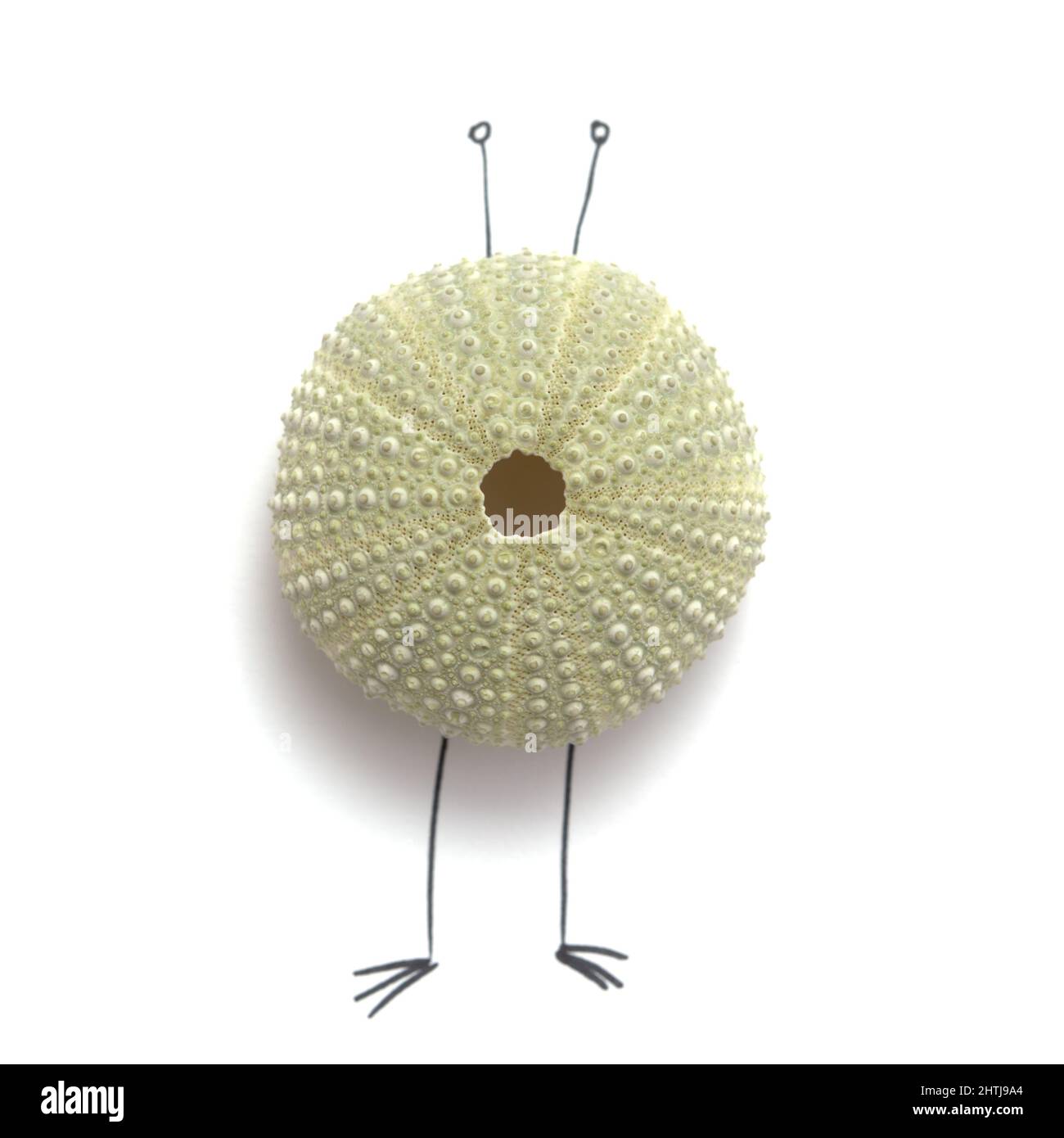 Sketchily drawn hi-res stock photography and images - Alamy