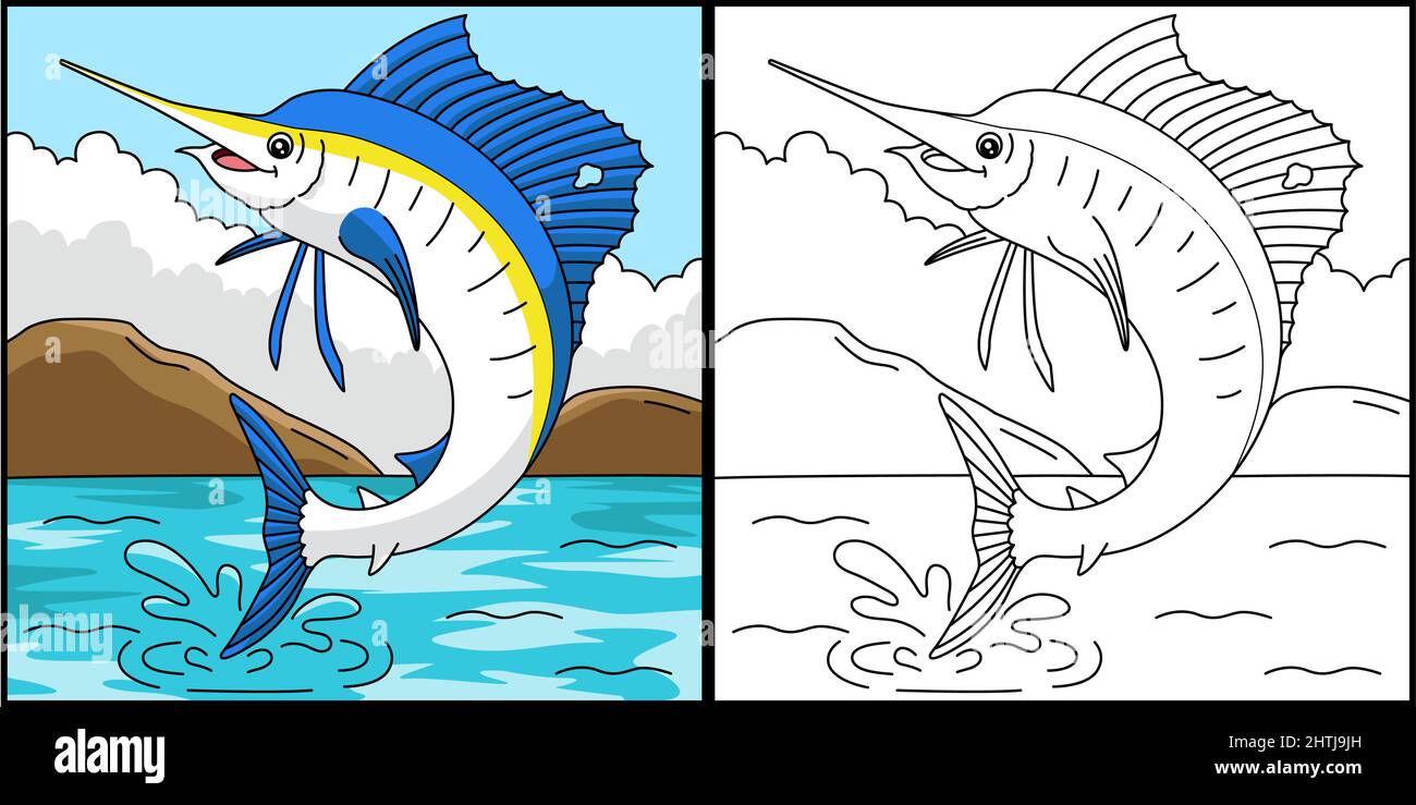 Sailfish Coloring Page Colored Illustration Stock Vector Image & Art ...