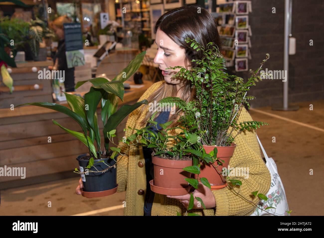 Customer buying plants hi-res stock photography and images - Alamy