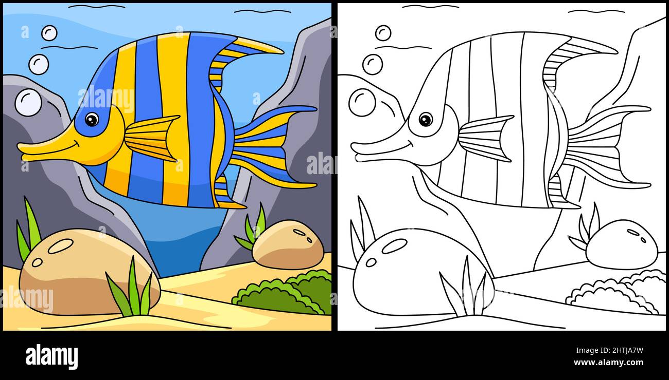 Angelfish Coloring Page Colored Illustration Stock Vector Image & Art ...