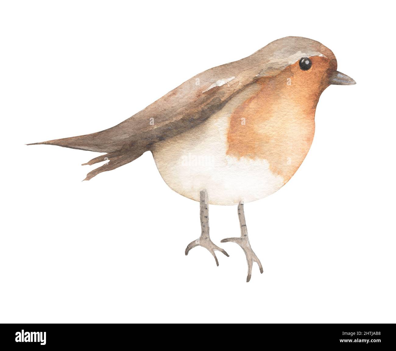 Flying Robin Clip Art