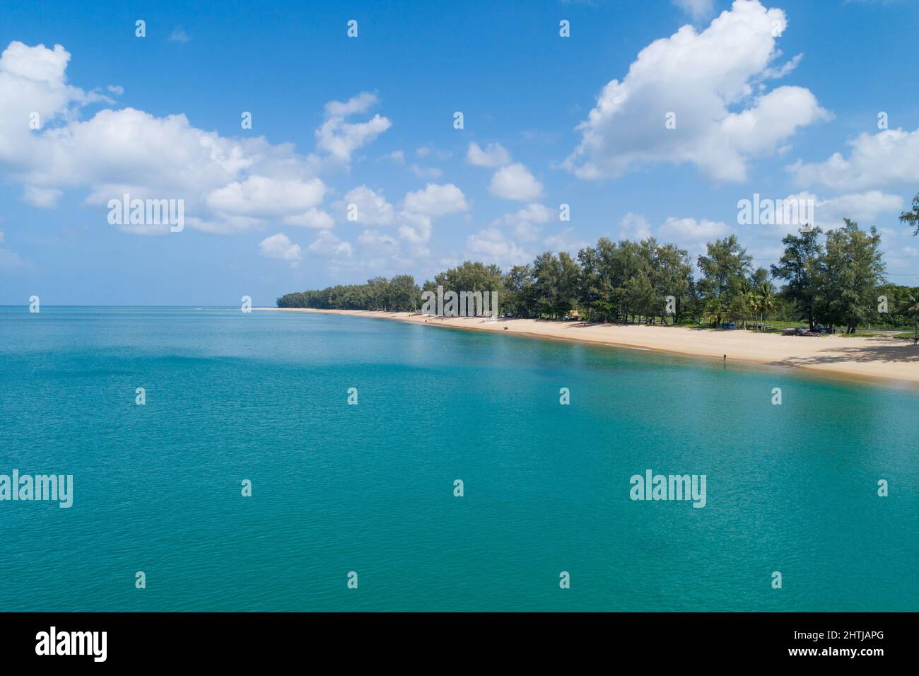 Aerial view Drone camera of Tropical sea with Row of pine trees near ...