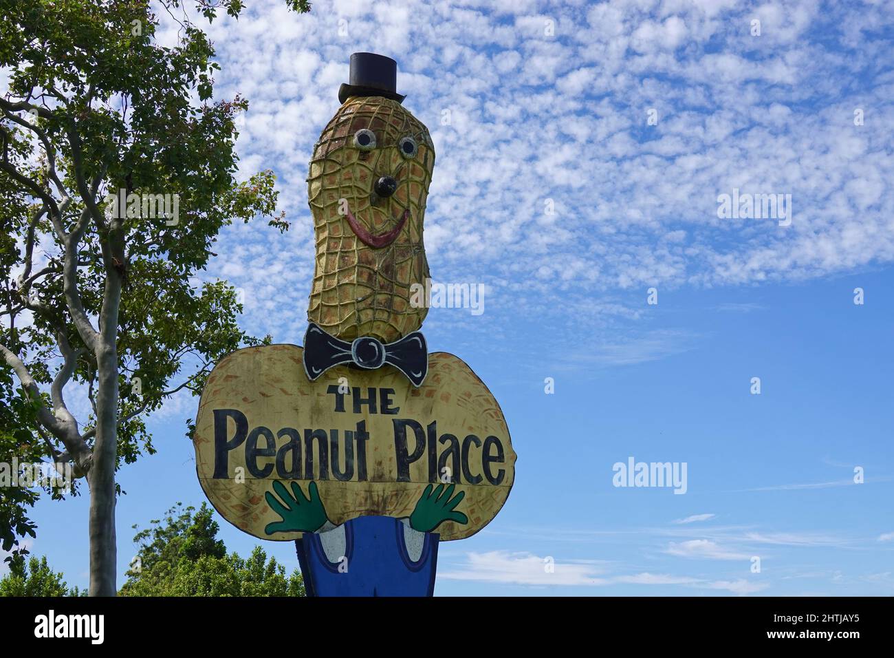 The Big Peanut, near Tolga on the Atherton Tablelands Stock Photo - Alamy
