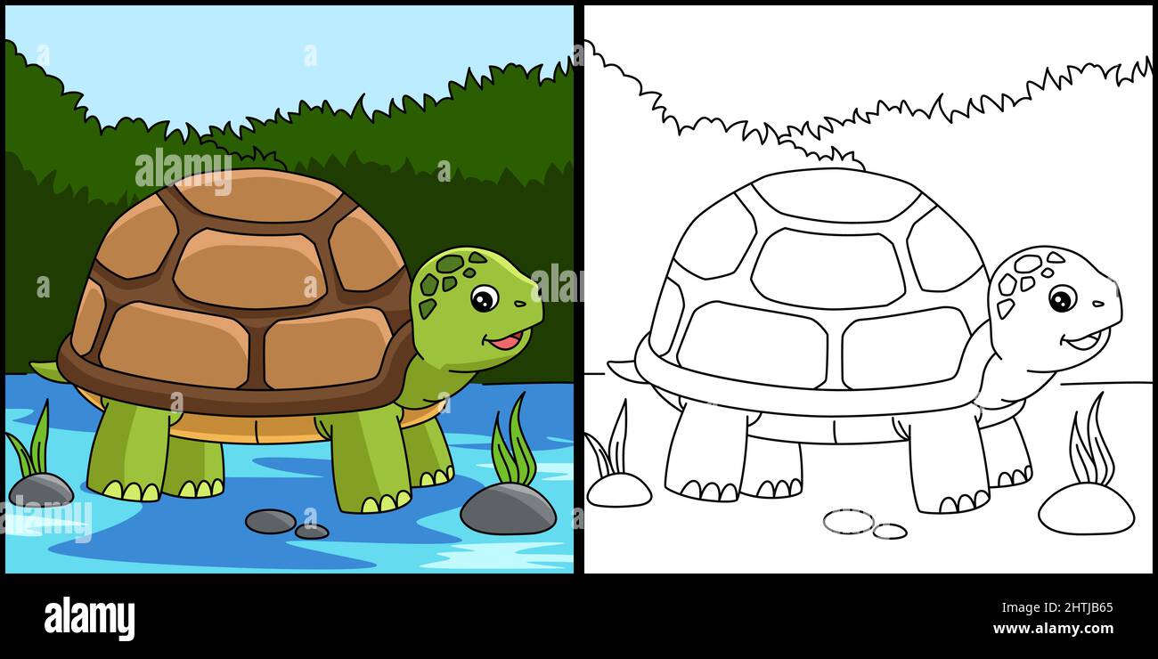 Turtle Coloring Page Colored Illustration Stock Vector Image & Art - Alamy