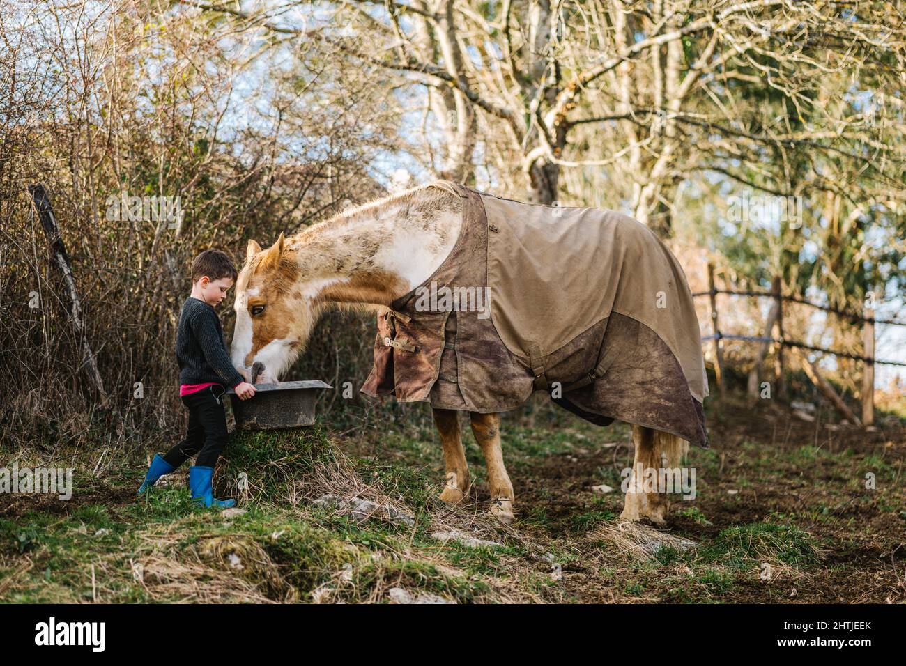Full body side view of cute boy in rubber boots feeding brown horse ...