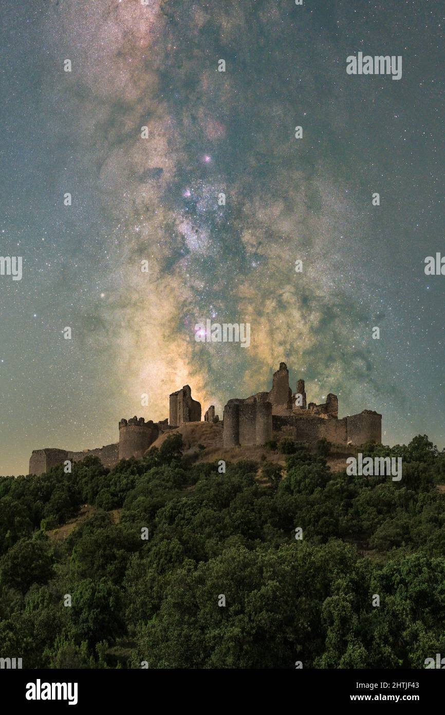 Ancient stone castle located on hill with green trees against starry ...