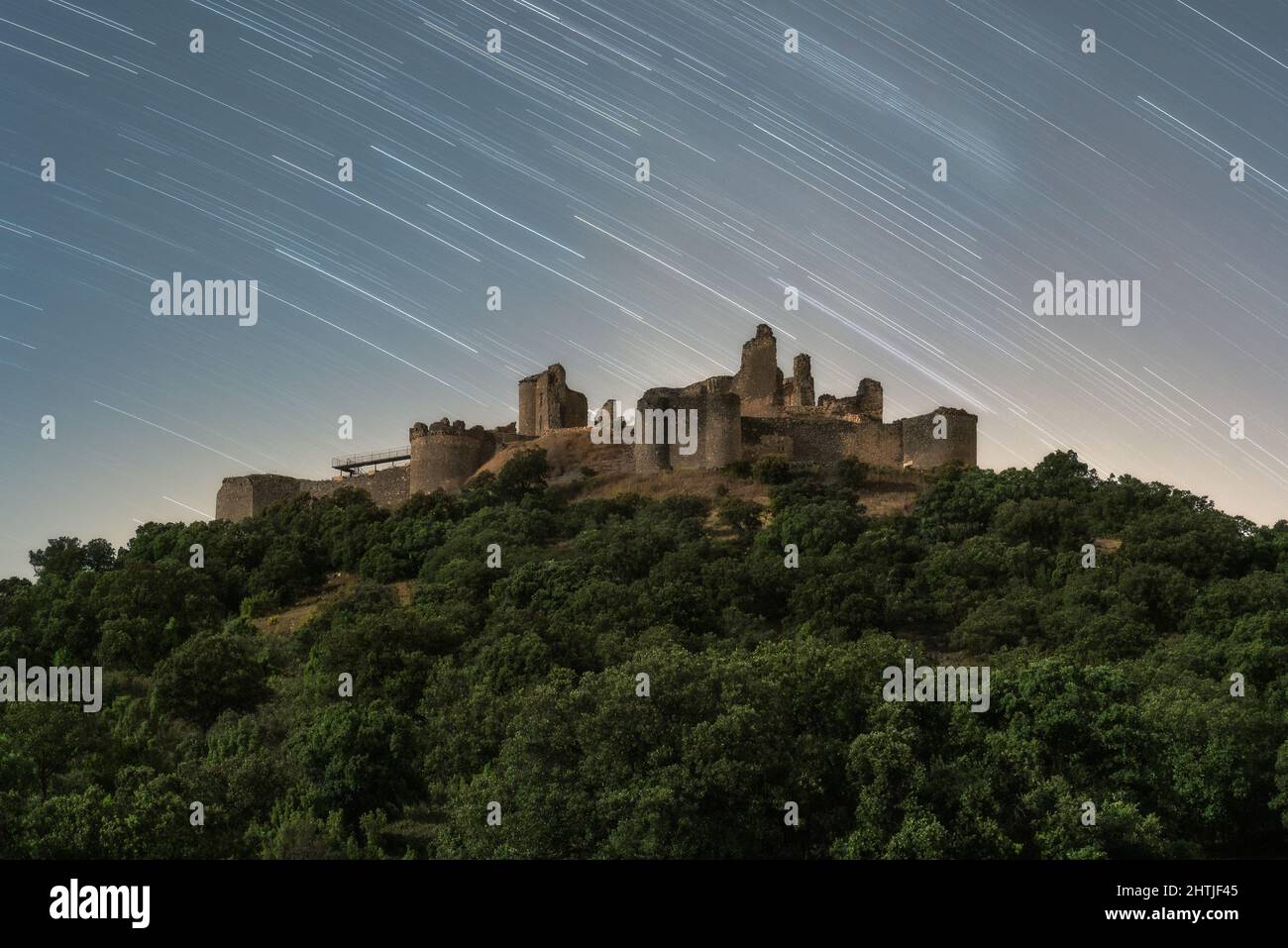 Ancient stone castle located on hill with green trees against starry ...