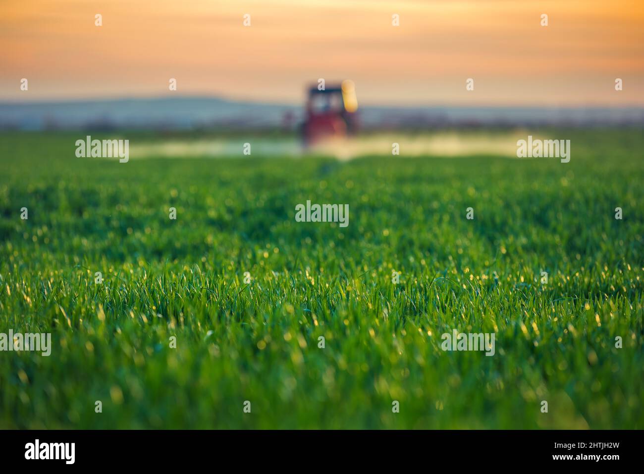 Tractor spray fertilizer spraying pesticides on green field ...