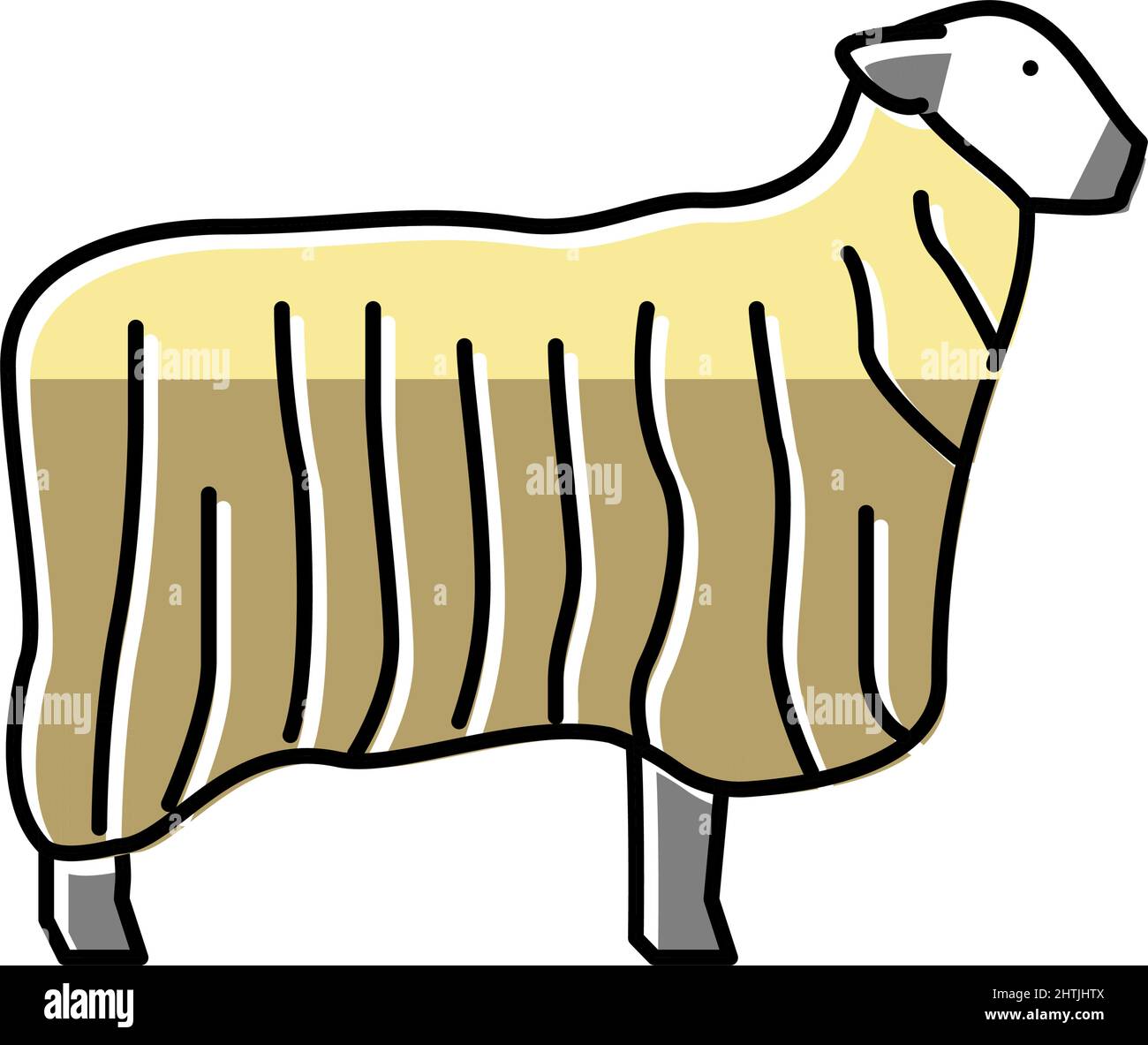 13 teeswater sheep color icon vector illustration Stock Vector Image ...