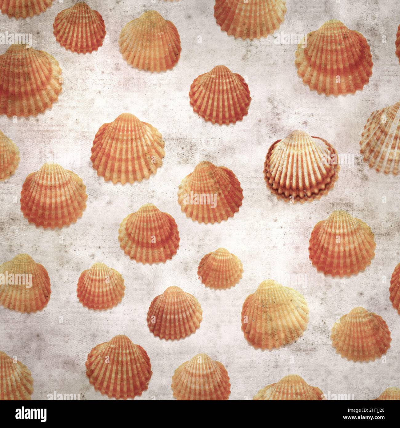 stylish textured old paper background with cockle shells Stock Photo ...