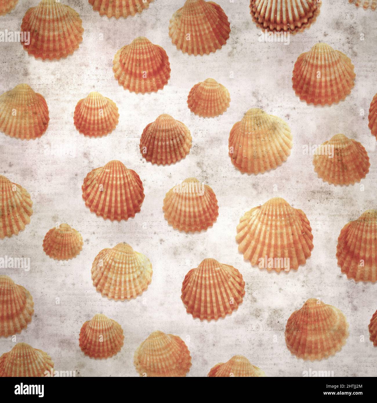 stylish textured old paper background with cockle shells Stock Photo ...