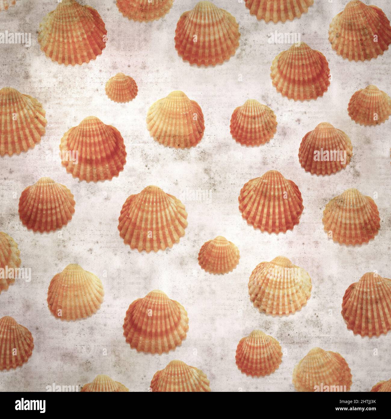 stylish textured old paper background with cockle shells Stock Photo ...