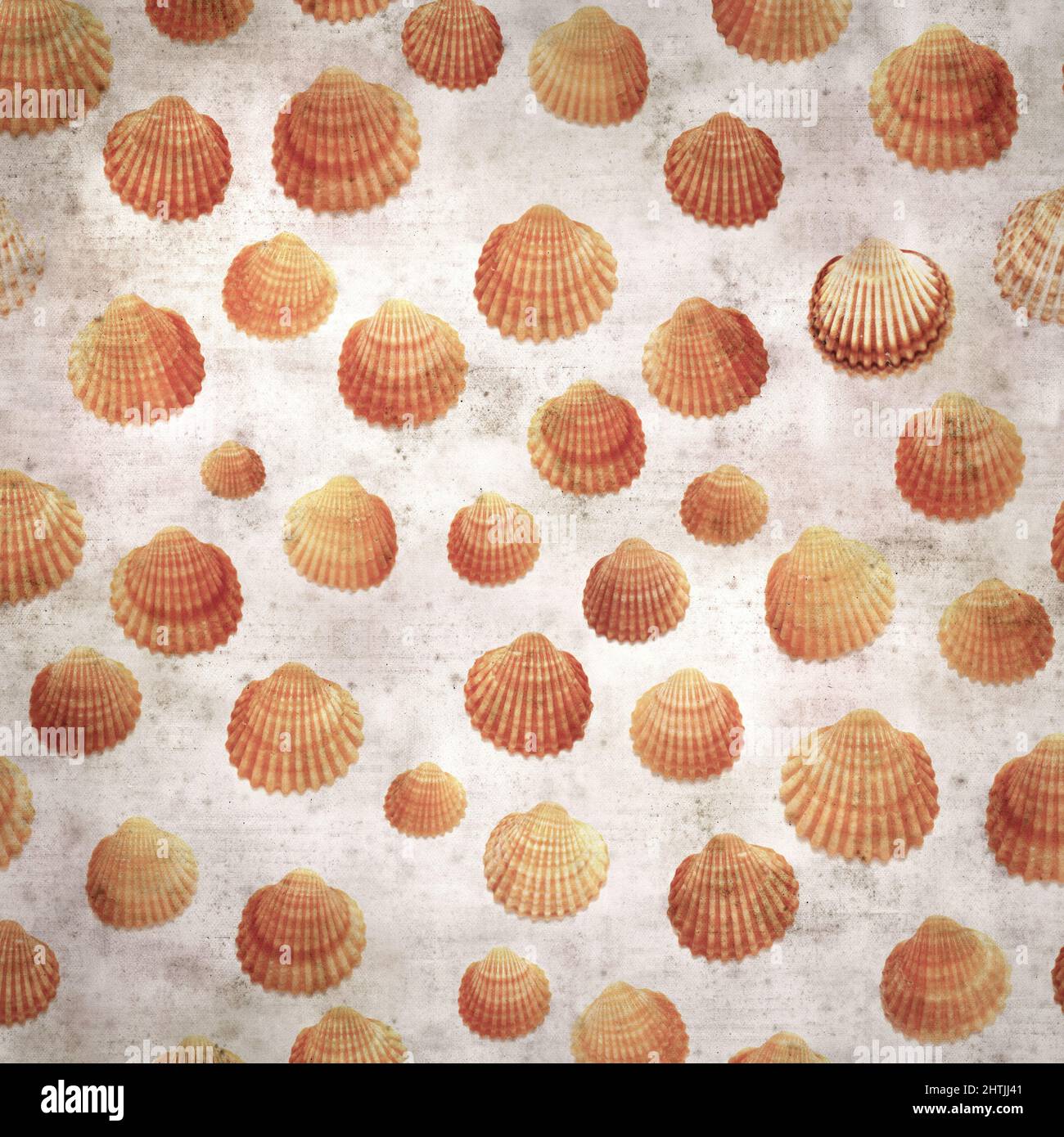 stylish textured old paper background with cockle shells Stock Photo ...