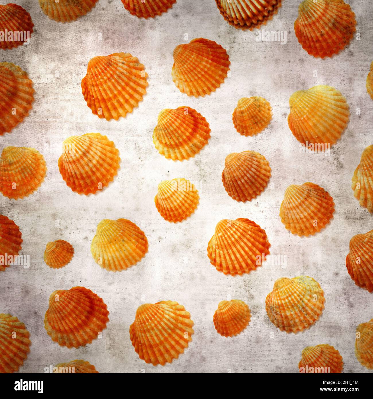 stylish textured old paper background with cockle shells Stock Photo ...