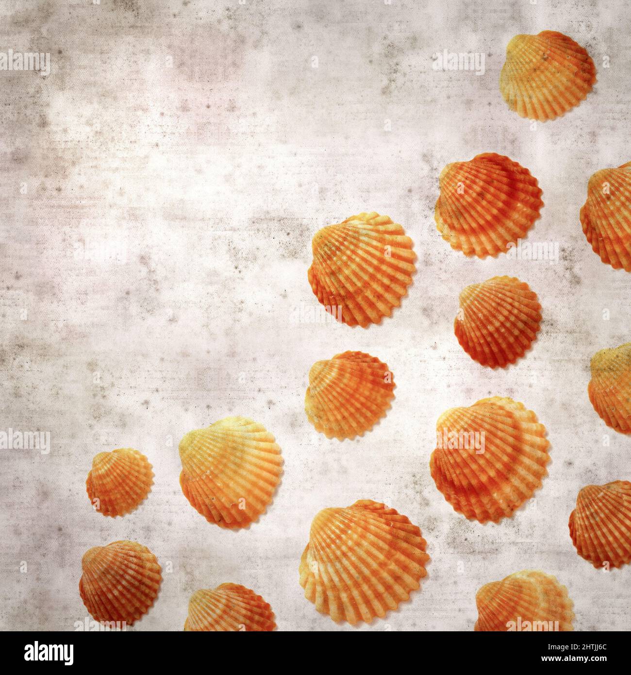 stylish textured old paper background with cockle shells Stock Photo ...