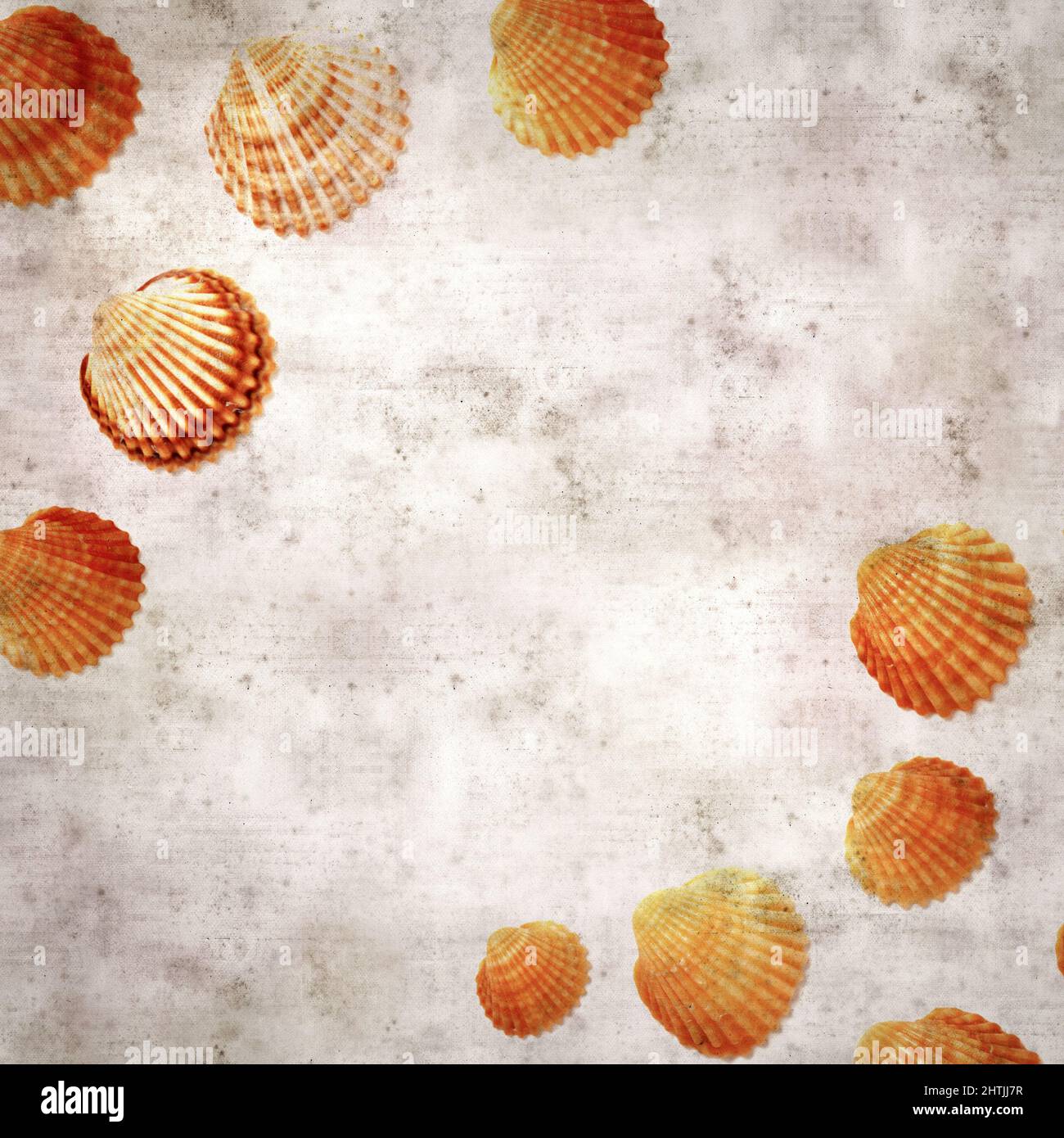 stylish textured old paper background with cockle shells Stock Photo ...