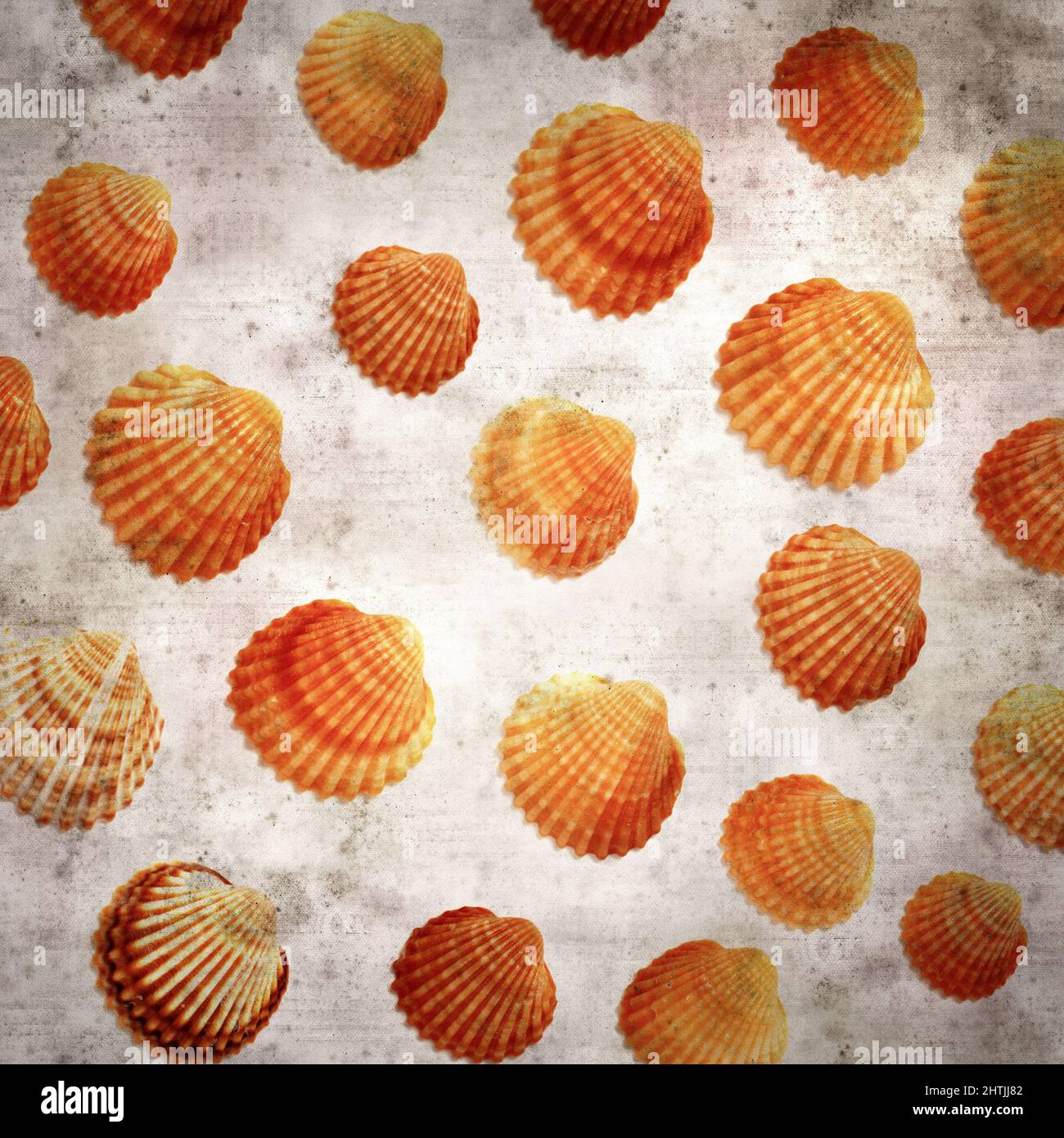 stylish textured old paper background with cockle shells Stock Photo ...