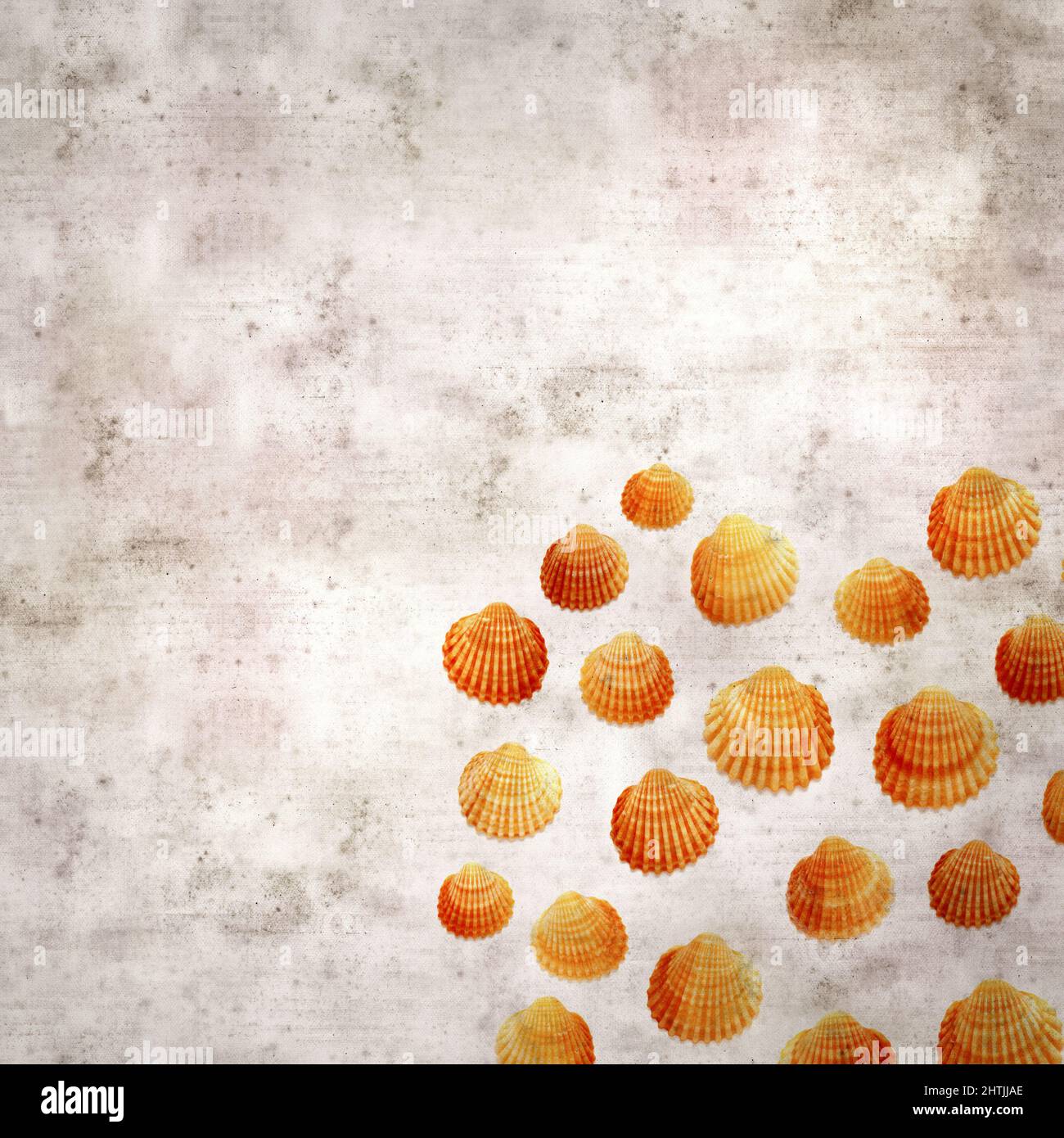 stylish textured old paper background with cockle shells Stock Photo ...