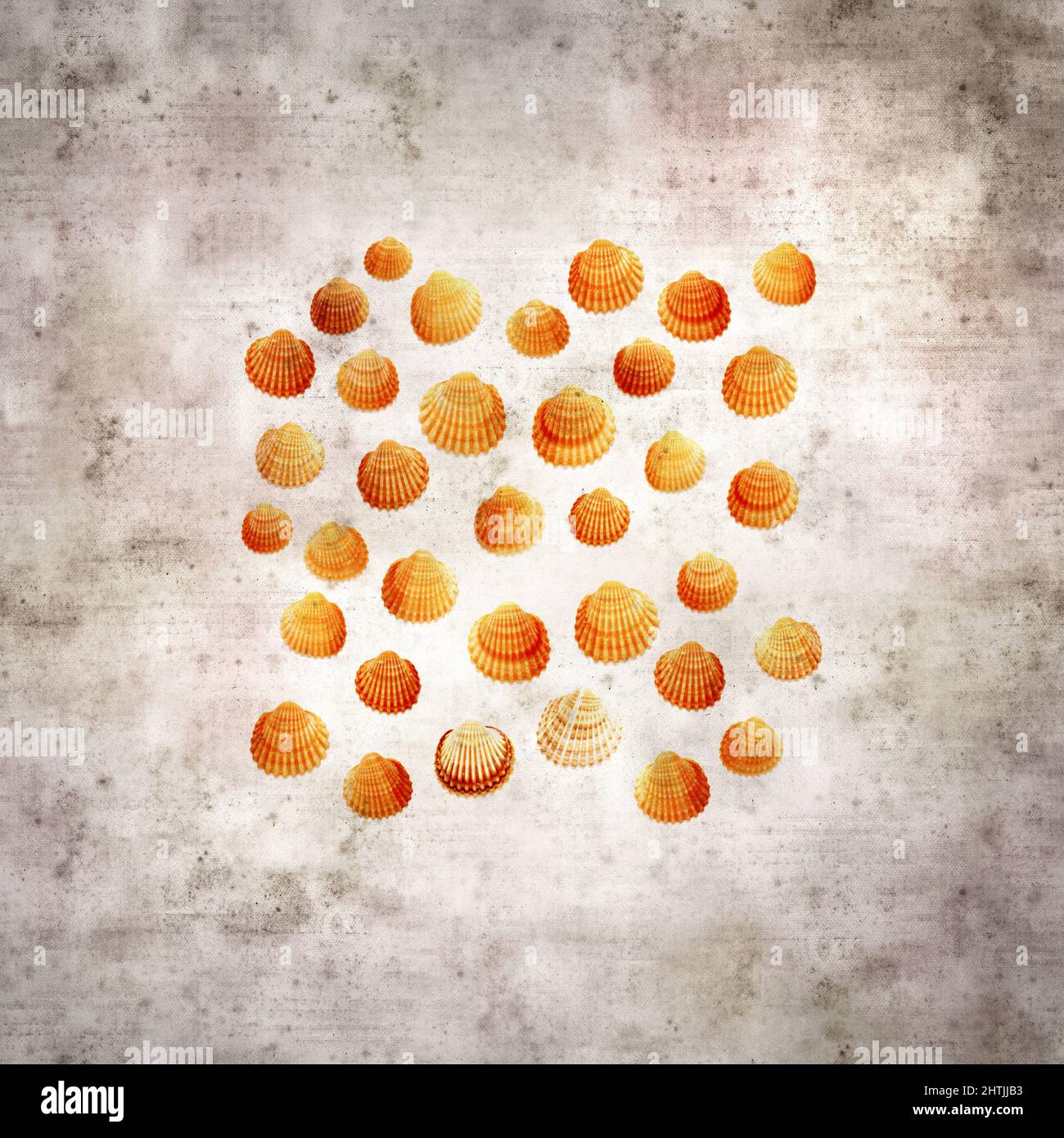 stylish textured old paper background with cockle shells Stock Photo ...