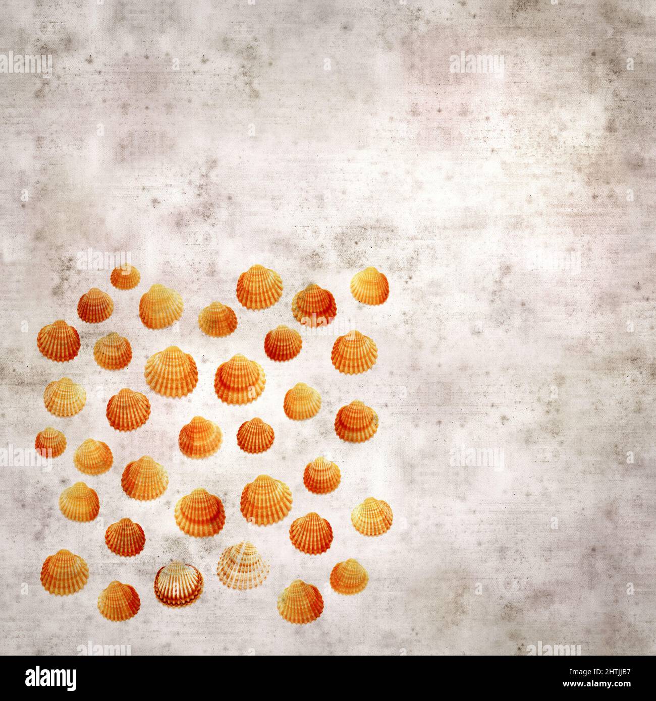 stylish textured old paper background with cockle shells Stock Photo ...