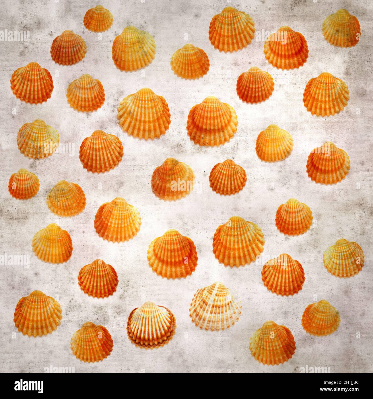 stylish textured old paper background with cockle shells Stock Photo ...
