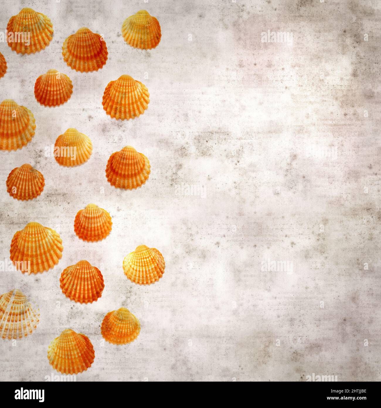 stylish textured old paper background with cockle shells Stock Photo ...