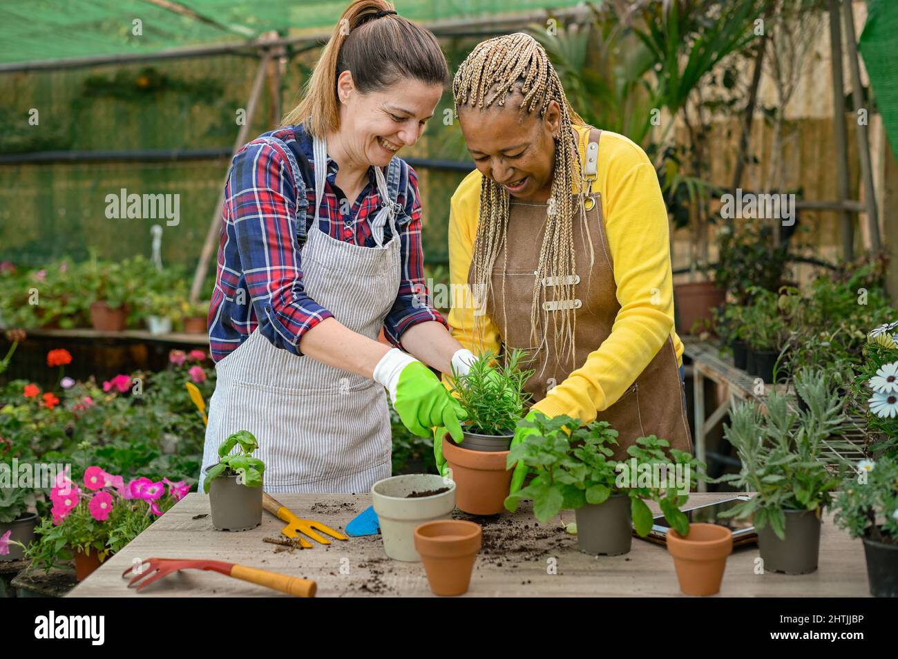 Plants together hi-res stock photography and images - Alamy