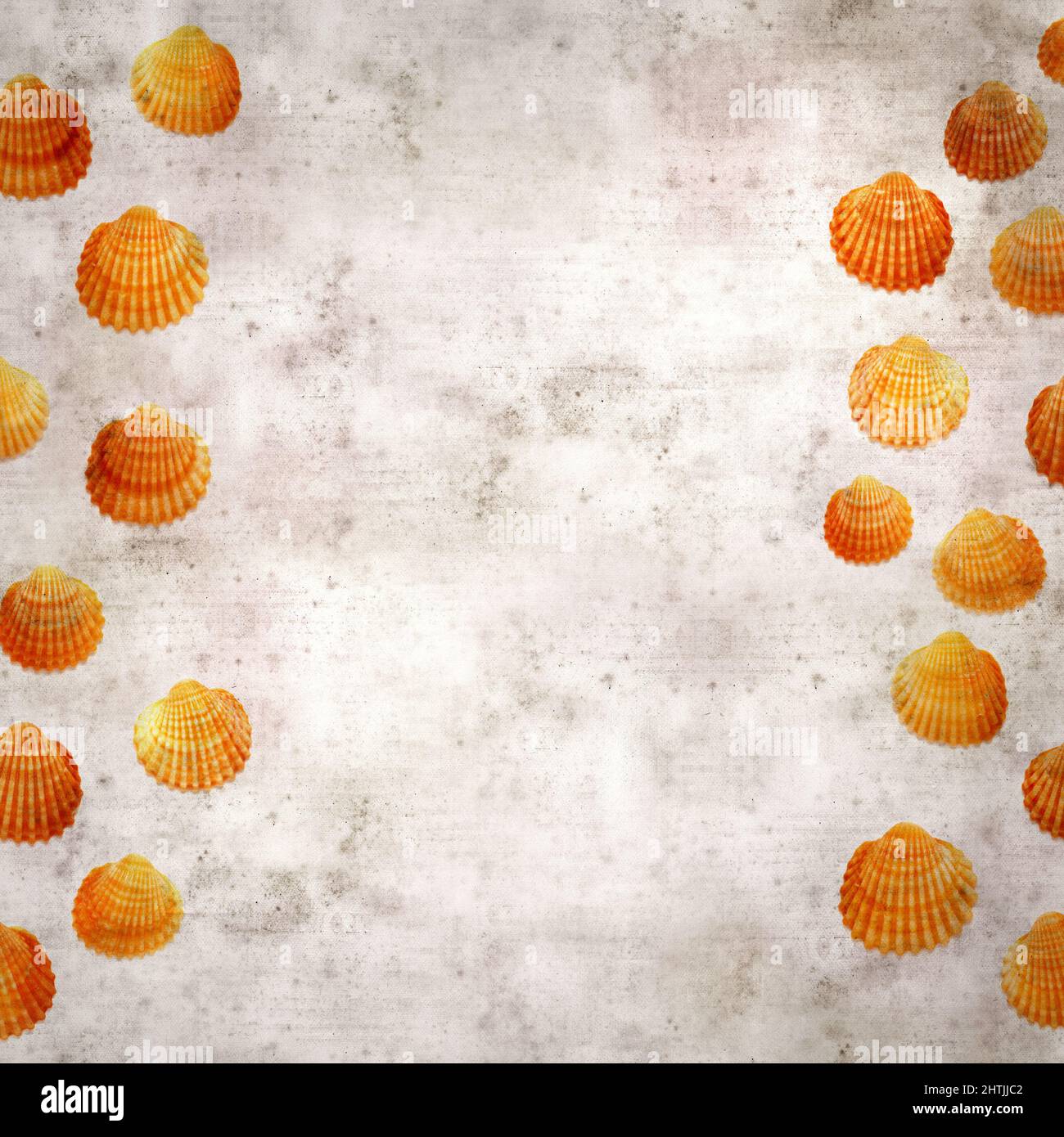 stylish textured old paper background with cockle shells Stock Photo ...