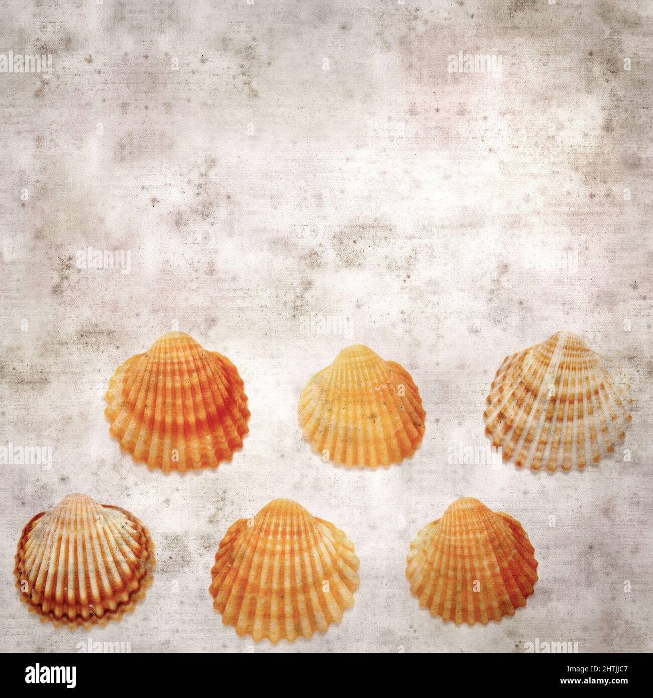 What Is Cockle Paper at Marilyn Kauffman blog