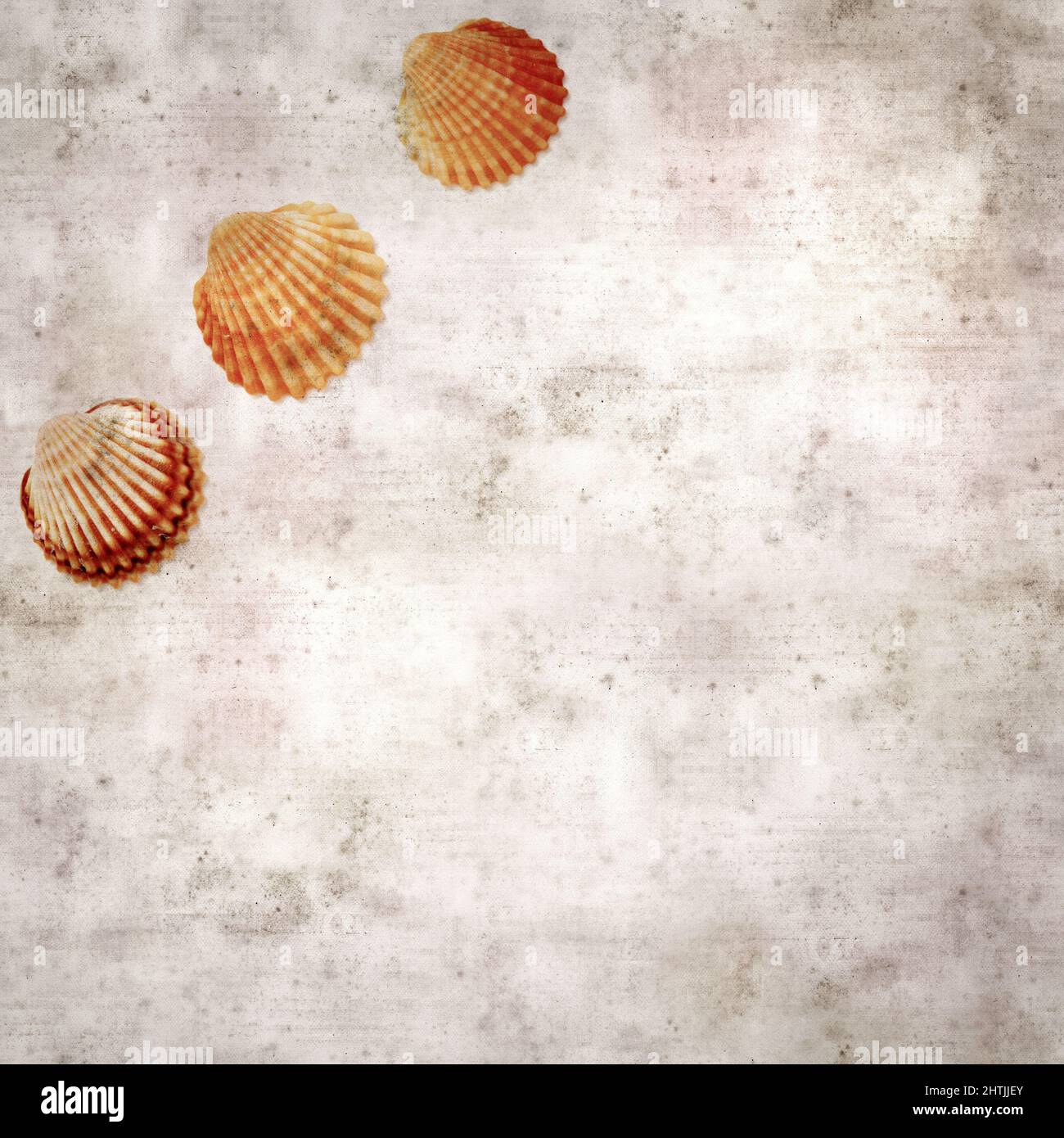 stylish textured old paper background with cockle shells Stock Photo ...
