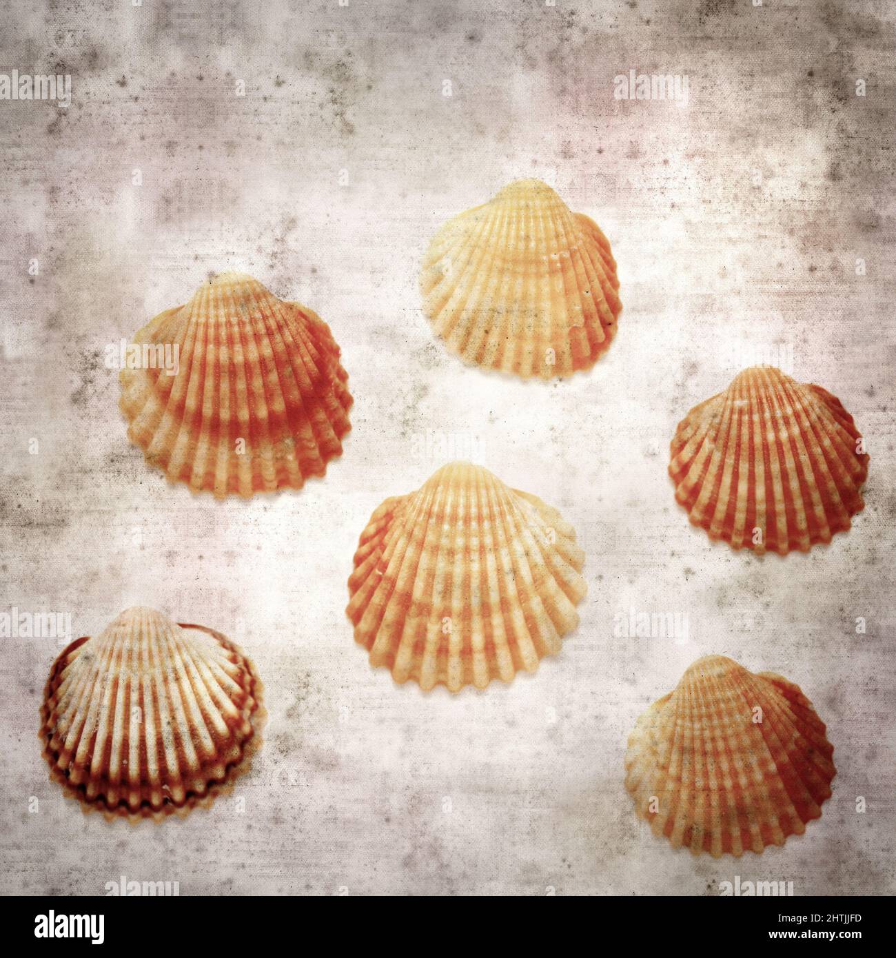stylish textured old paper background with cockle shells Stock Photo ...