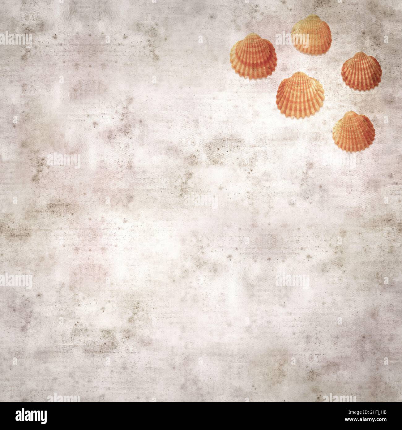 stylish textured old paper background with cockle shells Stock Photo ...